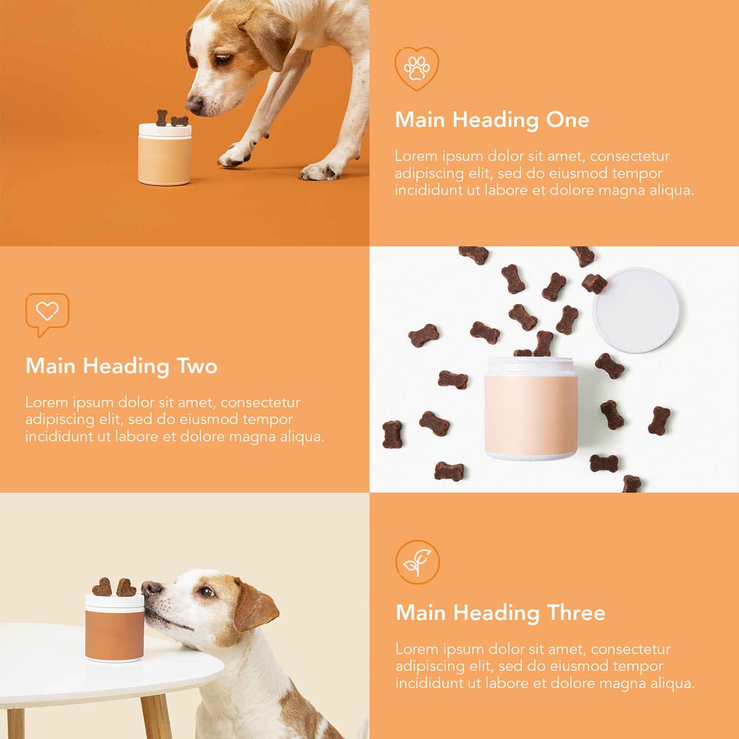 Create Stunning Amazon Infographics: A Step-by-Step Guide | soona